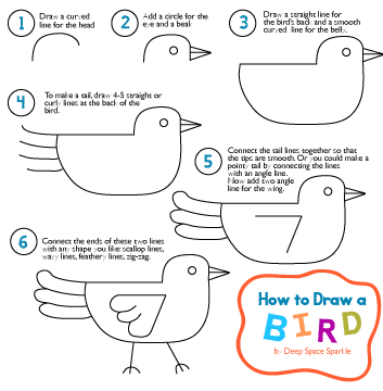 How To Draw A Colourful Bird Step By Step You Infoupdate How To Draw A Colourful Bird Step By Step You Infoupdate