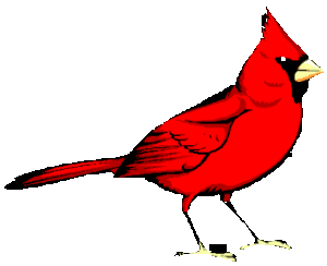 Cardinals in Winter Lesson | Deep Space Sparkle