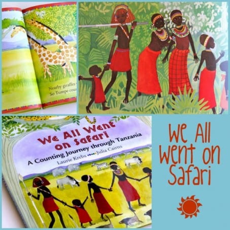 Safari book | Deep Space Sparkle