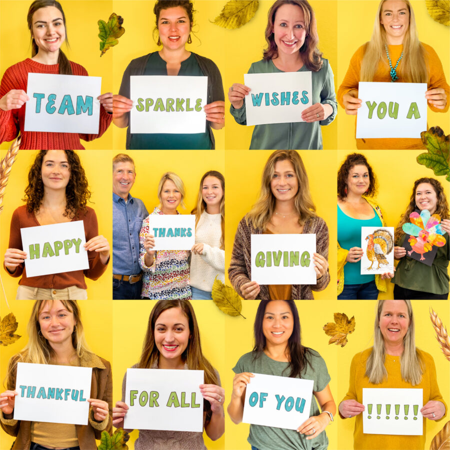 Practicing Gratitude | What Team DSS and I are Grateful for this ...